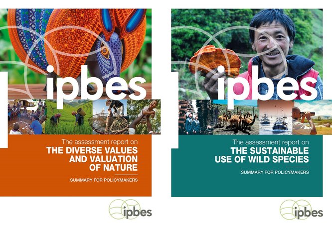 Aktivitäten nach Verabschiedung der neuen IPBES-Assessments zu „Values ...